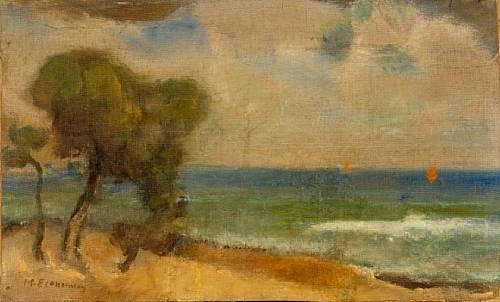 Michalis Economou | Biography