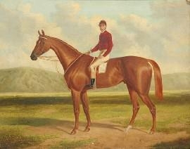 Woodhouse Frederick | FALCON: WINNER OF THE 1864 ADELAIDE CUP (1865 ...
