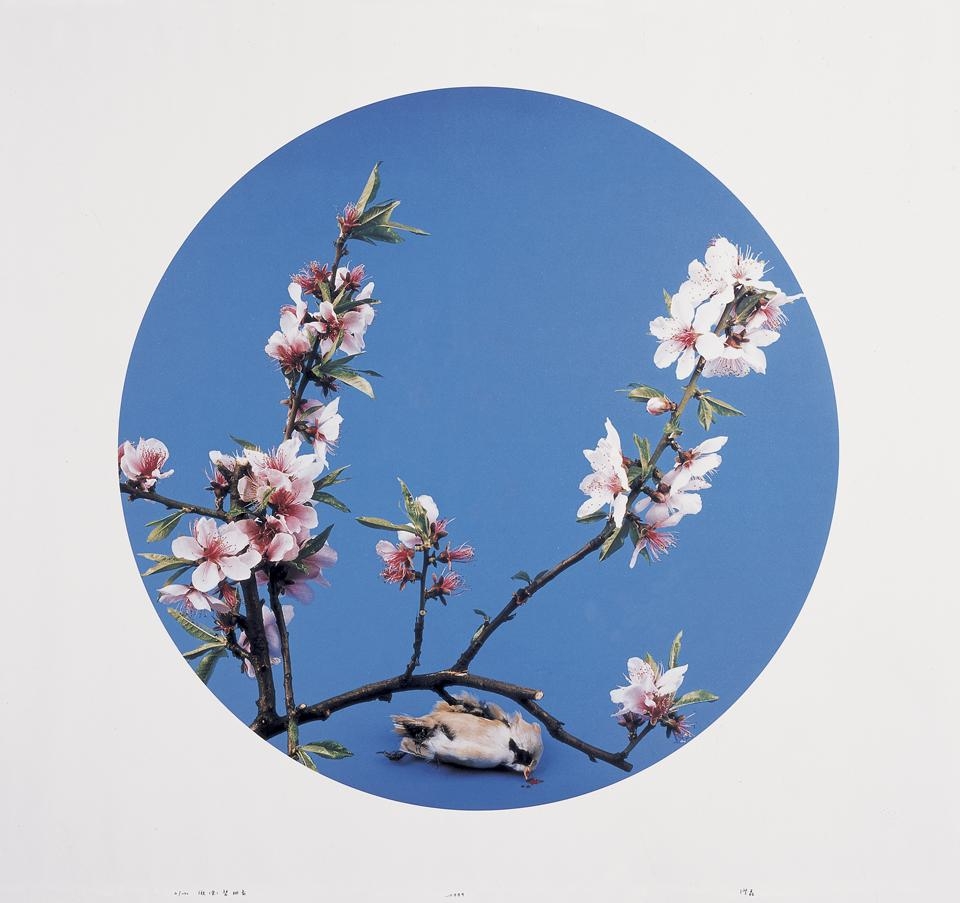 Hong Lei | Imitation Song Dynasty's Peach Flower (1999) | MutualArt