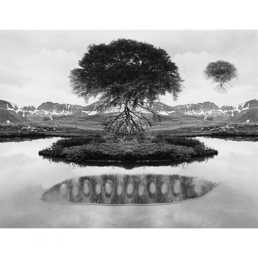Jerry Uelsmann | Floating Tree (1969) | MutualArt