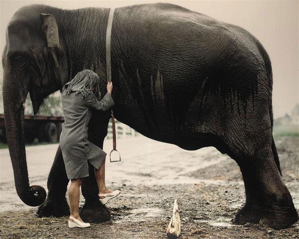 Liza May Post | Trying (1998) | MutualArt