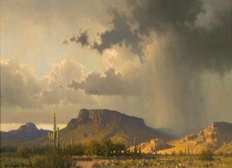 Michael Stack | Desert Rain | MutualArt