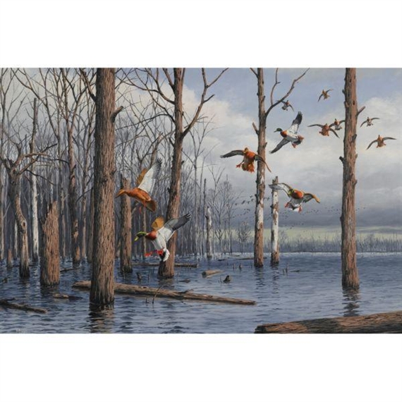 David Maass | Mallards in Flight | MutualArt