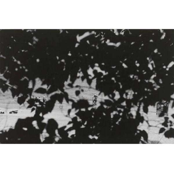 Harry Callahan | ELEANOR (TREES IN FOREGROUND) (1950s - 1960s) | MutualArt