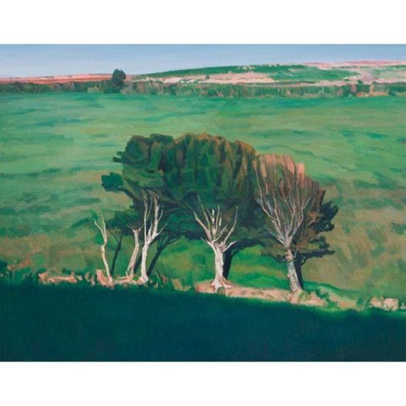 Chan Kin-chung | Le Pré No. 2 (1991) | MutualArt