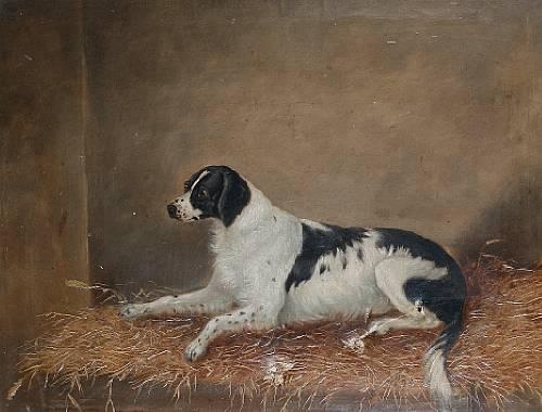 W.J. Gilbert | A spaniel on a straw bed (1835) | MutualArt