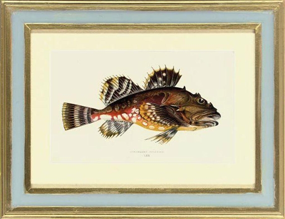 Jonathan Couch | Performance at Auction | MutualArt