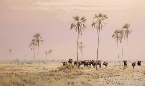 Kim Donaldson | Buffalo at Etosha | MutualArt