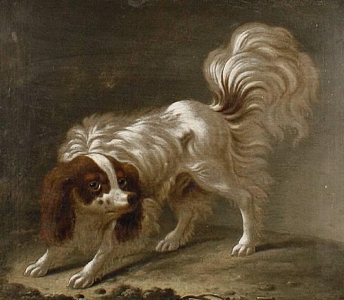British School, 18th Century | A Cavalier King Charles Spaniel | MutualArt