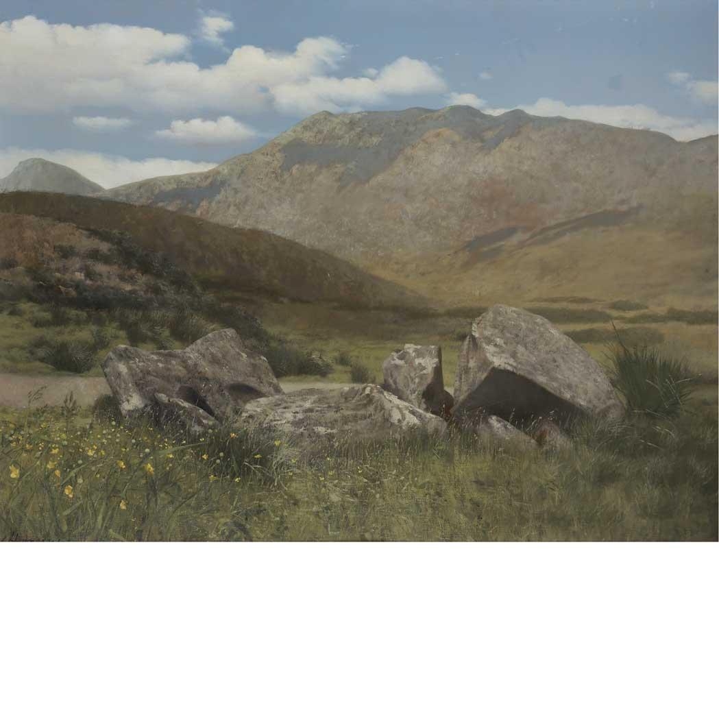 Patrick Hennessy | THE WILD PONIES OF CONNEMARA | MutualArt
