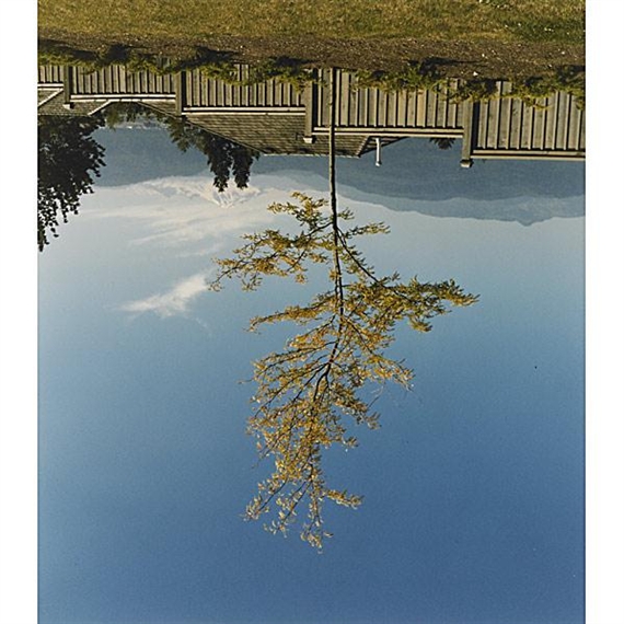 Rodney Graham | Tree on Site of Former Camera Obscura (1996 - 1998 ...