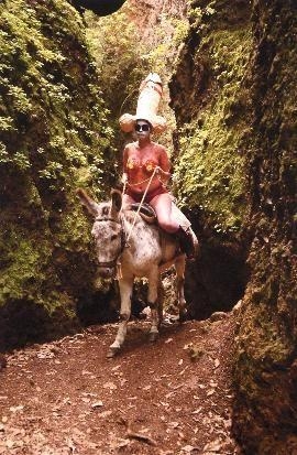 Tracey Rose | 14 Artworks | MutualArt