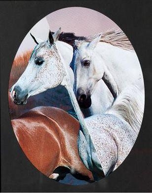 Caroline Heider | 21 Artworks at Auction | MutualArt