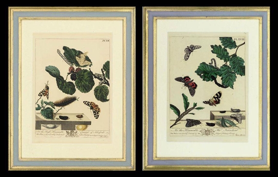 Moses Harris | Performance at Auction | MutualArt