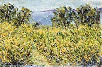 Michele Cascella | Ginestre in riva al mare (1983 - 1985) | MutualArt