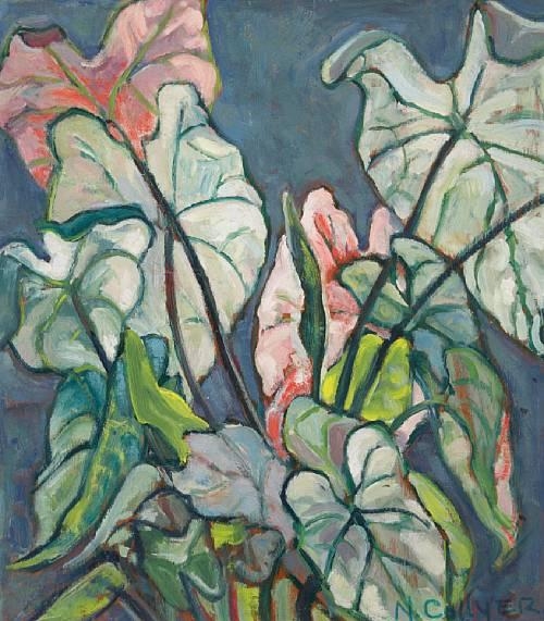 Nora Collyer | Caladium Leaves | MutualArt