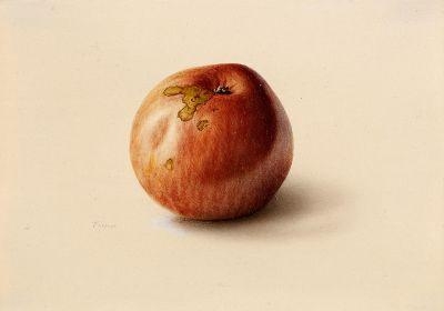Jan Peter Tripp | 124 Artworks at Auction | MutualArt