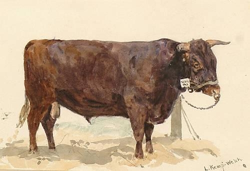 Lucy Kemp-Welch | Prize Bull; Cow | MutualArt