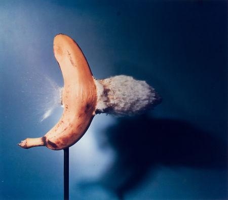 Harold Eugene Edgerton | Bullet Through Banana, 1964 (1964) | MutualArt