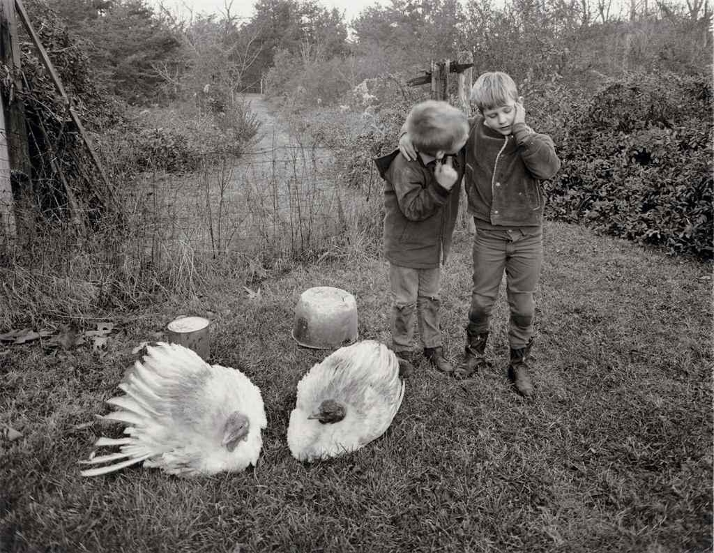 Emmet Gowin | Silver print, 1971 (1980) | MutualArt