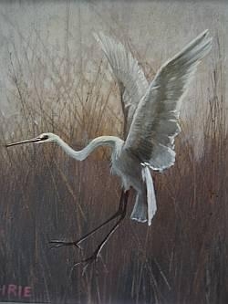 Jim Tyre | 1 Artworks at Auction | MutualArt