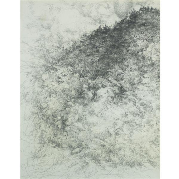 Anna Ticho | The Burning Bush | MutualArt