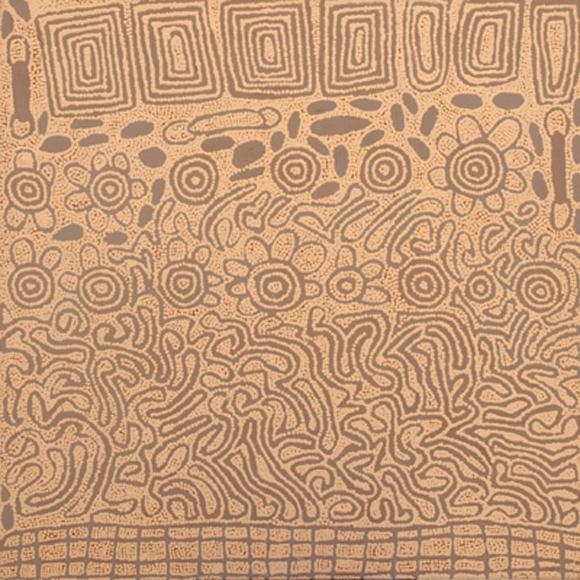 Kayi Kayi Nampitjinpa | Rockhole and Soakage Water Site of Ngaminya ...