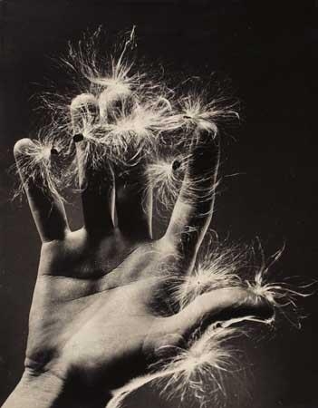 Ruth Bernhard | Conductor's Hands (1938) | MutualArt