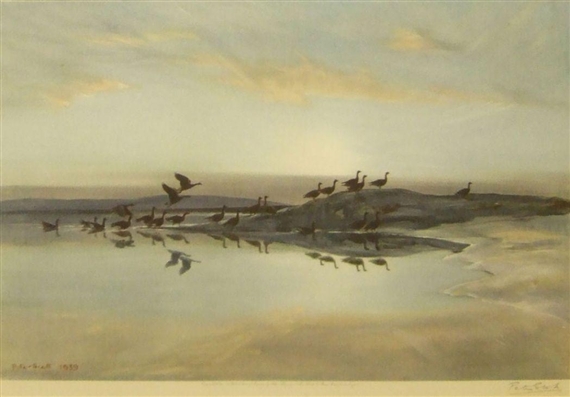 Peter Markham Scott | Mallard Alighting | MutualArt