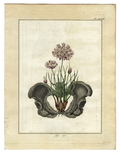 Billy Renkl | Artist Overview | MutualArt