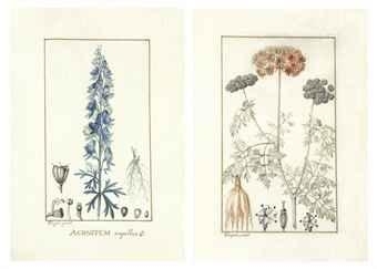 Pierre-Jean-François Turpin | 96 Artworks at Auction | MutualArt