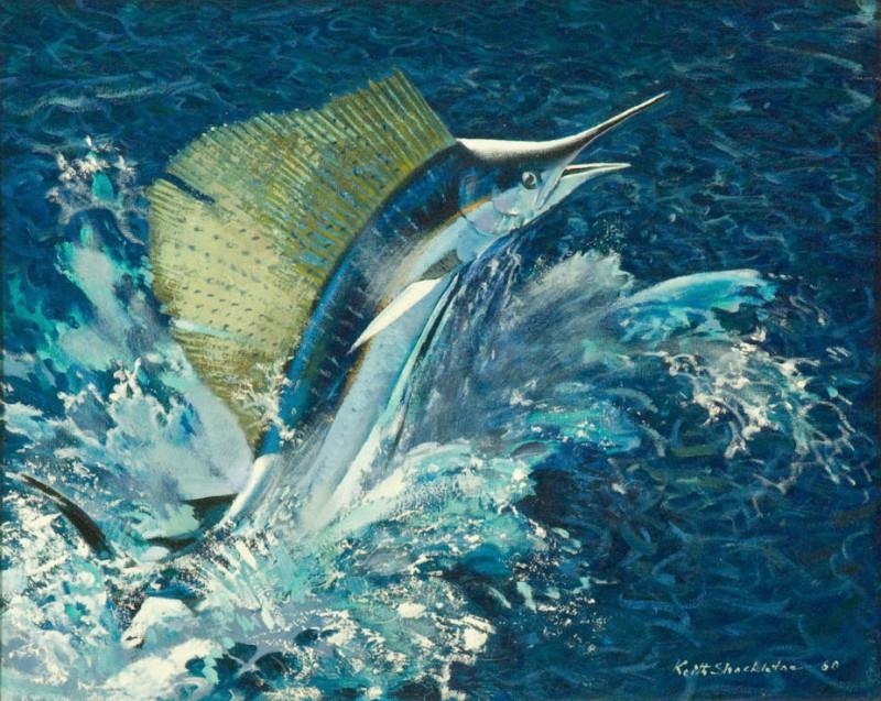 Keith Shackleton | Sailfish (1960) | MutualArt