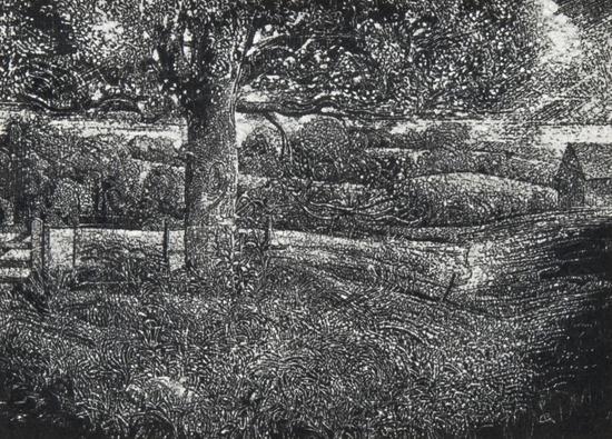 Robin Bell Corfield | 6 Artworks | MutualArt