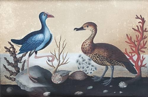Samuel Dixon | 2 works: Irish George II embossed bird pictures | MutualArt