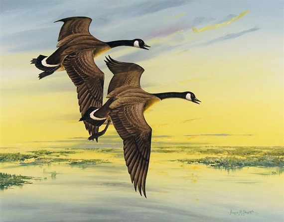 Angus Shortt | CANADA GOOSE PAIR AT SUNRISE (1963) | MutualArt