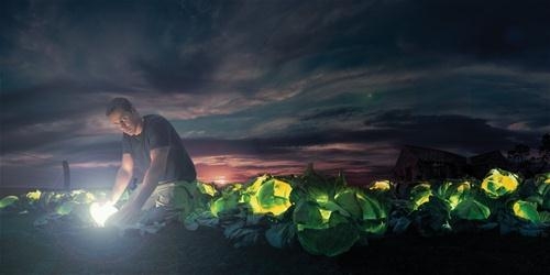 Simon Strong | 12 Artworks | MutualArt