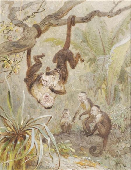 August Specht | Monkeys at play | MutualArt