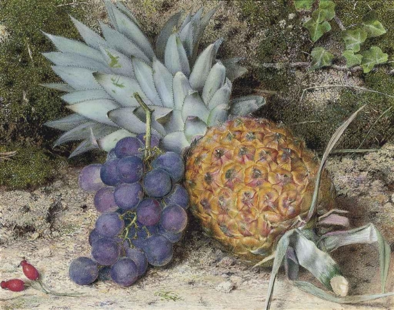 John Sherrin | Still life of a pineapple and grapes on a mossy bank ...