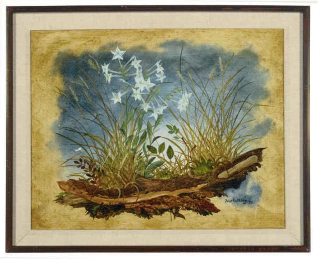 Ford Ruthling | Nicotena on Rotting Log (1972) | MutualArt