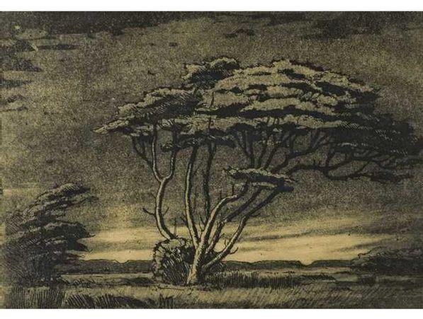 Jacob Hendrik Pierneef | Doringboom | MutualArt