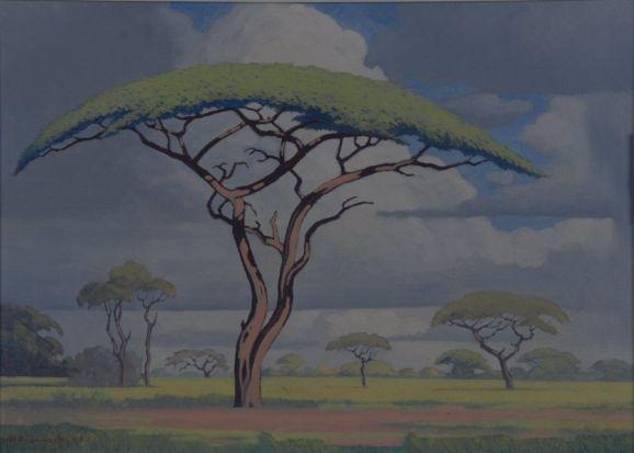 Jacob Hendrik Pierneef | ACACIA TREE IN THE LOWVELD (1949) | MutualArt