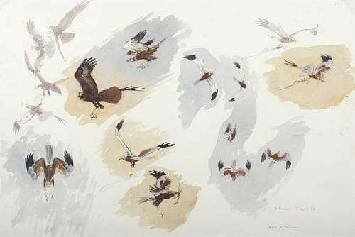 James McCallum | 6 Artworks at Auction | MutualArt