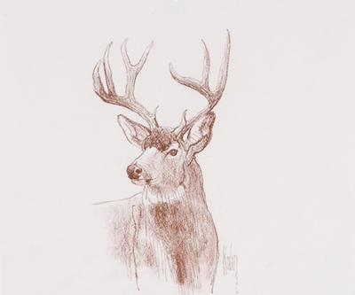 Bob Kuhn | Moose | MutualArt