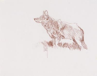 Bob Kuhn | Moose | MutualArt