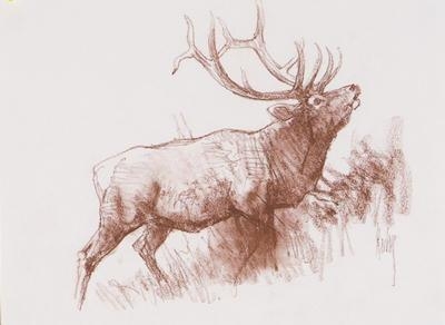 Bob Kuhn | Moose | MutualArt