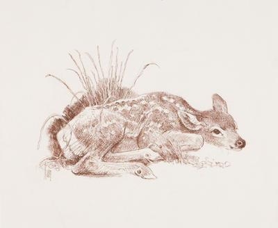 Bob Kuhn | Moose | MutualArt