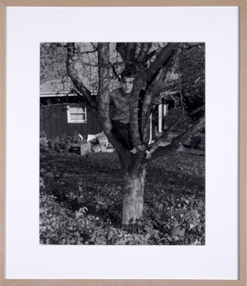 David Goldes | 12 Artworks at Auction | MutualArt
