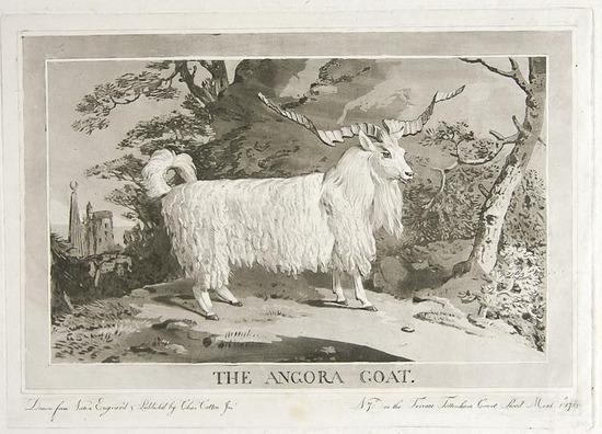 Charles Catton | Artist Performance at Auction | MutualArt