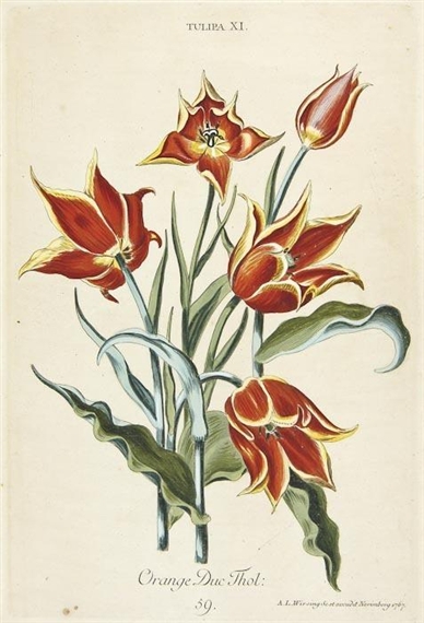 Adam Ludwig Wirsing | 37 Artworks at Auction | MutualArt