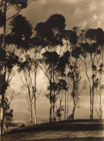 John Stich | 2 Exhibitions and Events | MutualArt